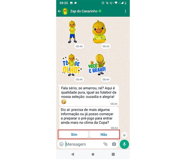Zap do Canarinho na Copa: como ver convocação, horários de jogo e mais