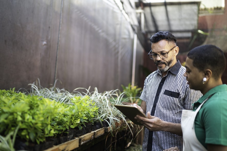 O que é host e como funciona?