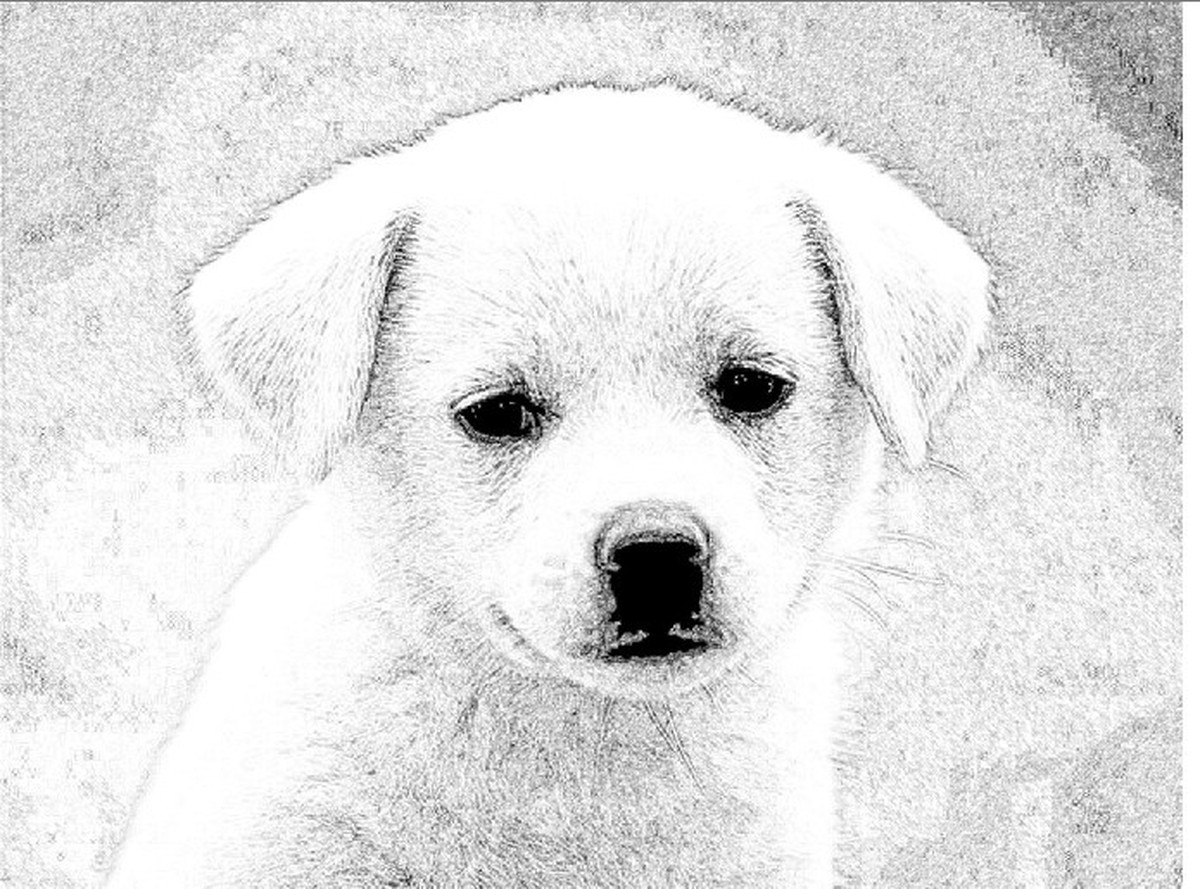 Como transformar fotos em desenhos no Picture to People