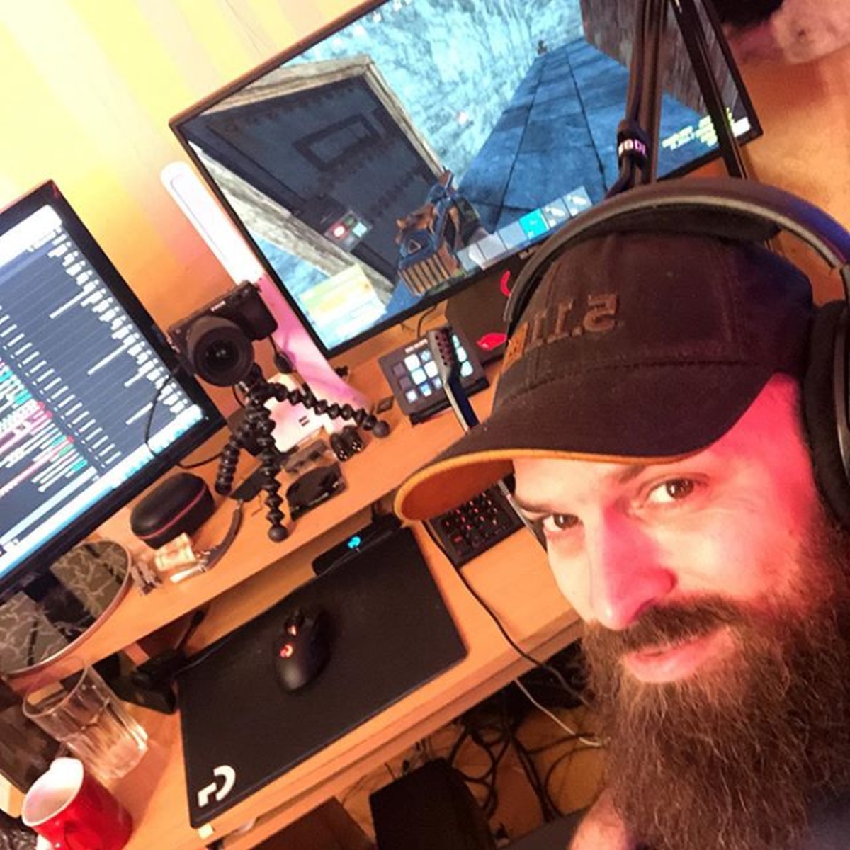 Streamer é banido da Twitch após agredir gato ao vivo; caso gera revolta