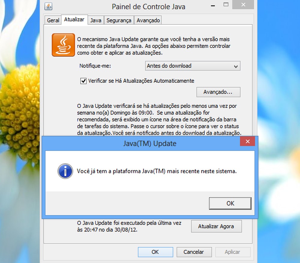 Como atualizar o Java no Windows