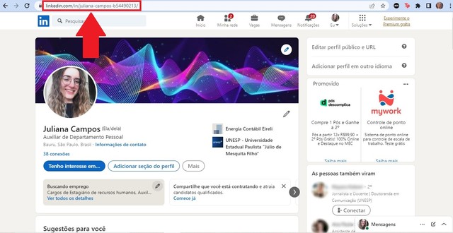 Como colocar LinkedIn no currículo
