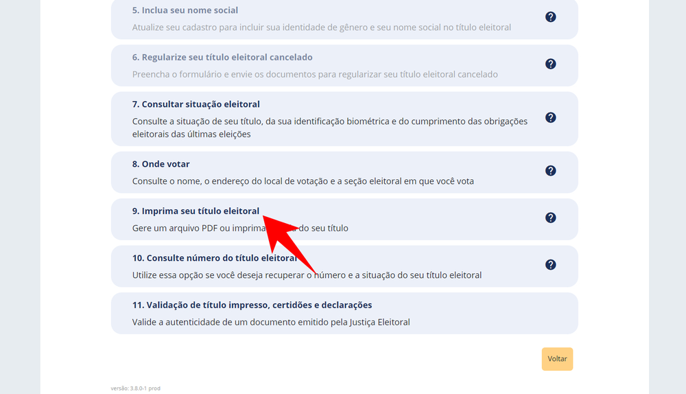 Eleições 2024: saiba como imprimir título eleitoral no site do TSE