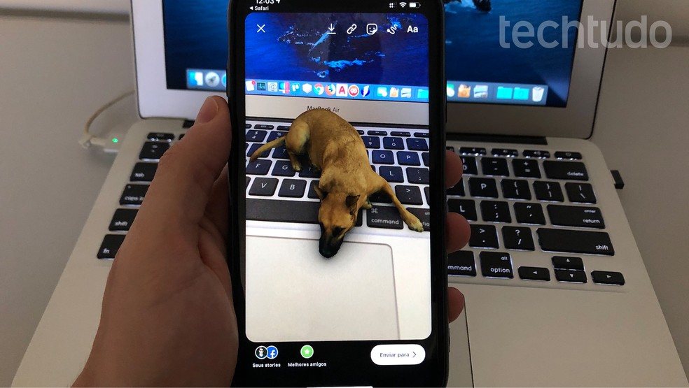 Filtro de cachorro no Instagram: como usar o efeito Sasha Dog