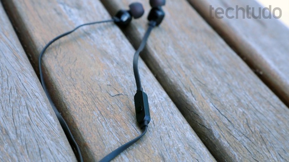 Review JBL T110