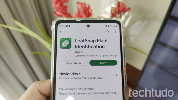 LeafSnap ajuda a identificar, listar e cuidar de plantas; saiba usar