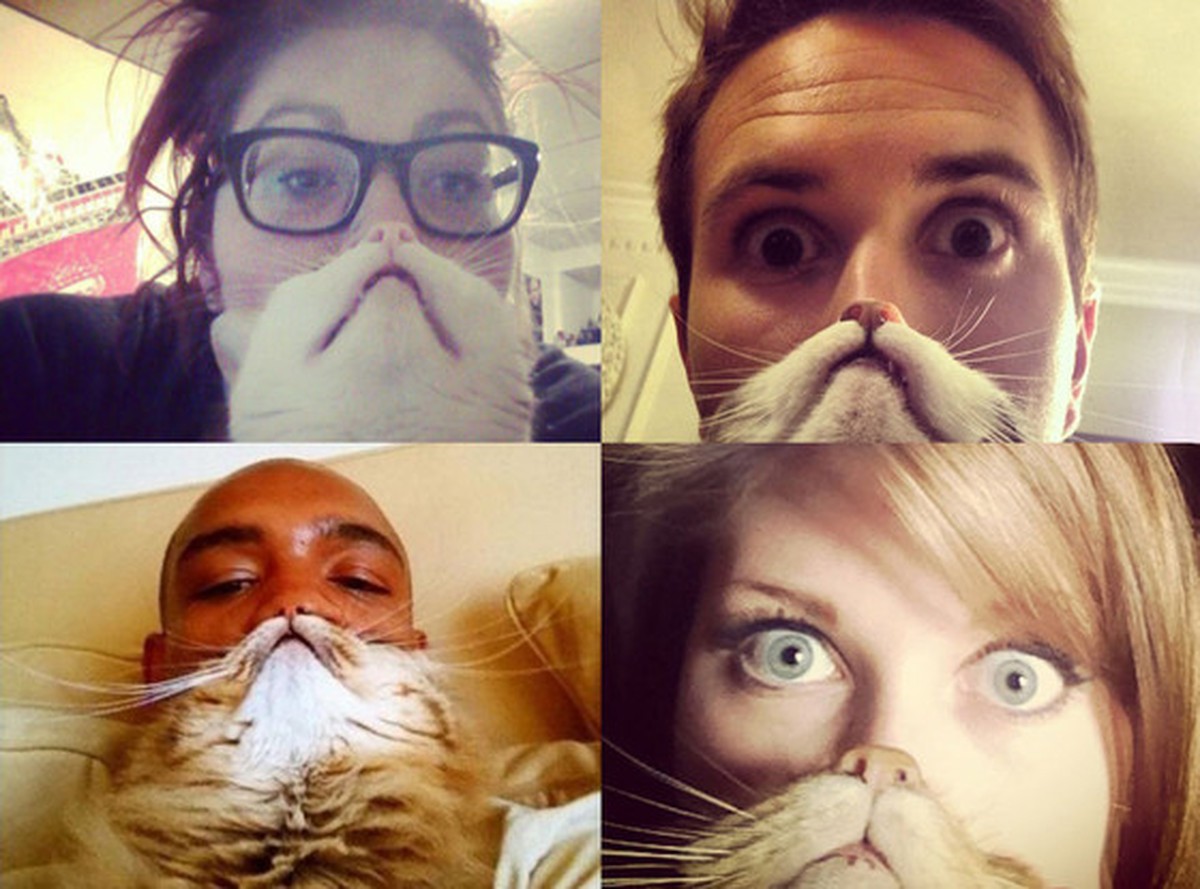 Cat Bearding: nova mania da web faz internautas com ‘barba de gato’; entenda