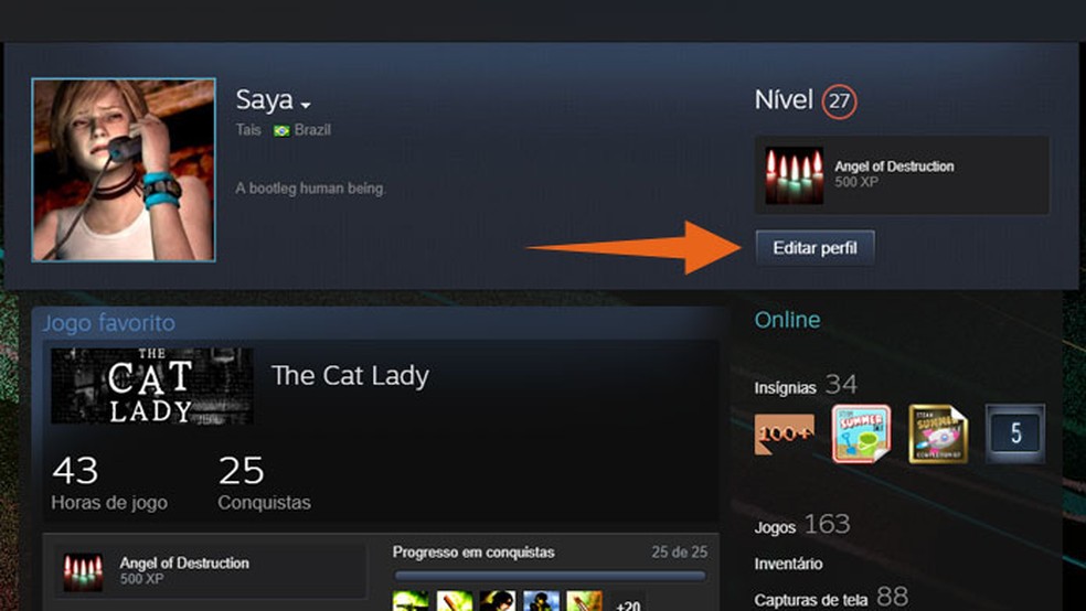 Como adicionar screenshots na galeria do Steam