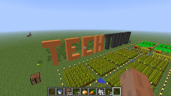 Plantação em Minecraft: saiba como cultivar plantas e fazê-las crescer