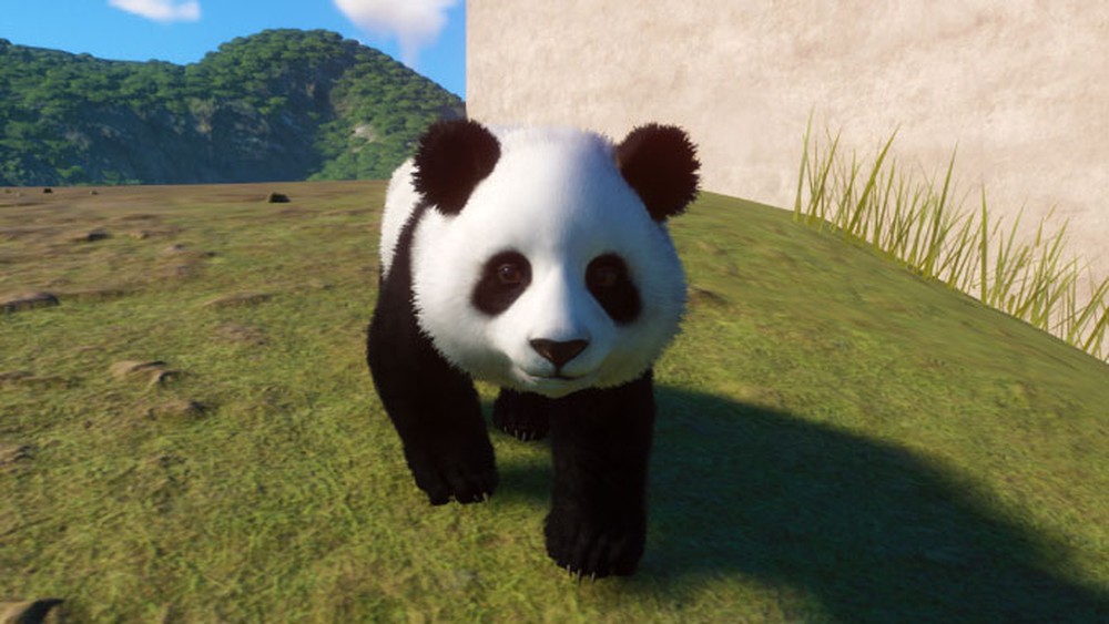 Planet Zoo: veja requisitos e como jogar o simulador de zoológico para PC