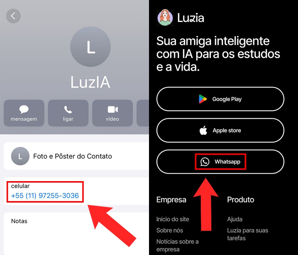 'Sou LuzIA' no WhatsApp: como usar a inteligência artificial