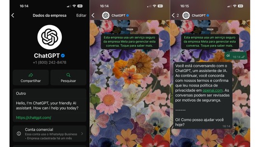 Gerador de link do WhatsApp: como iniciar conversas automaticamente no app