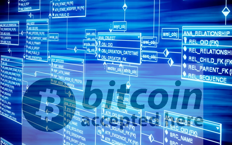Cinco fatos sobre blockchain que você precisa saber