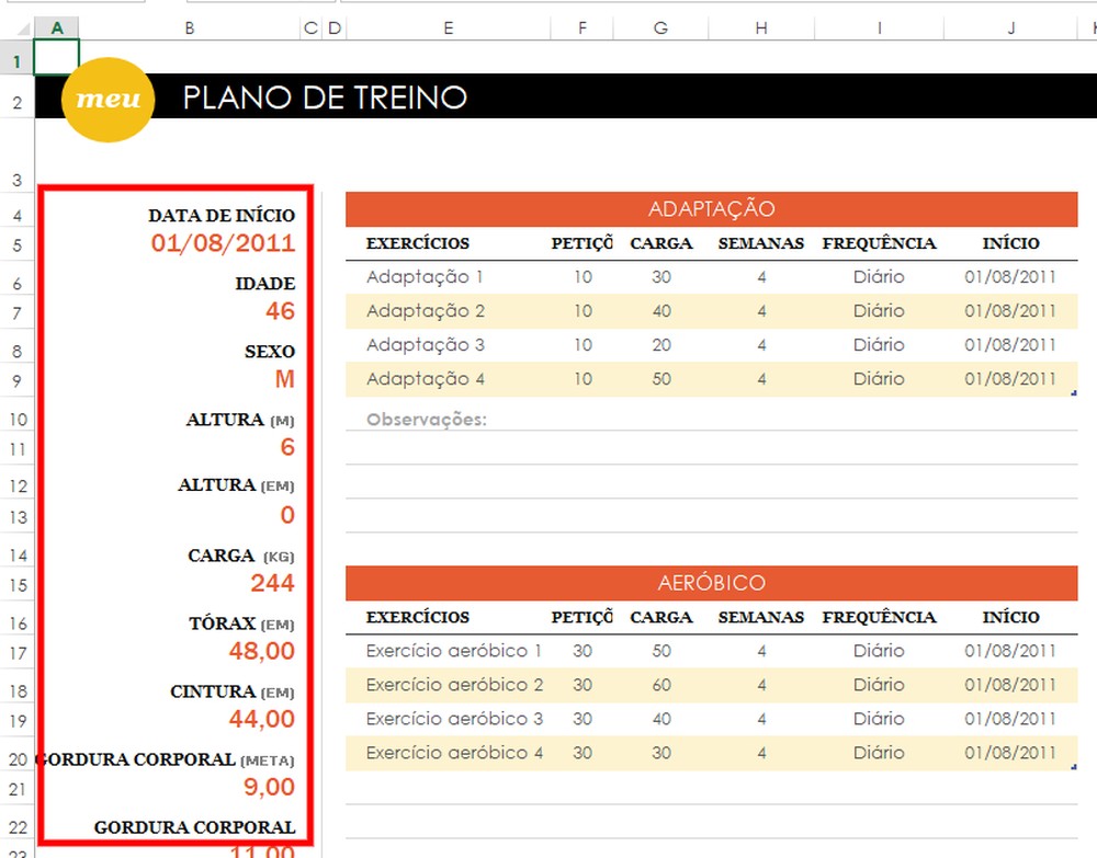 Planilha de treino de musculação no Excel: como baixar e usar modelo