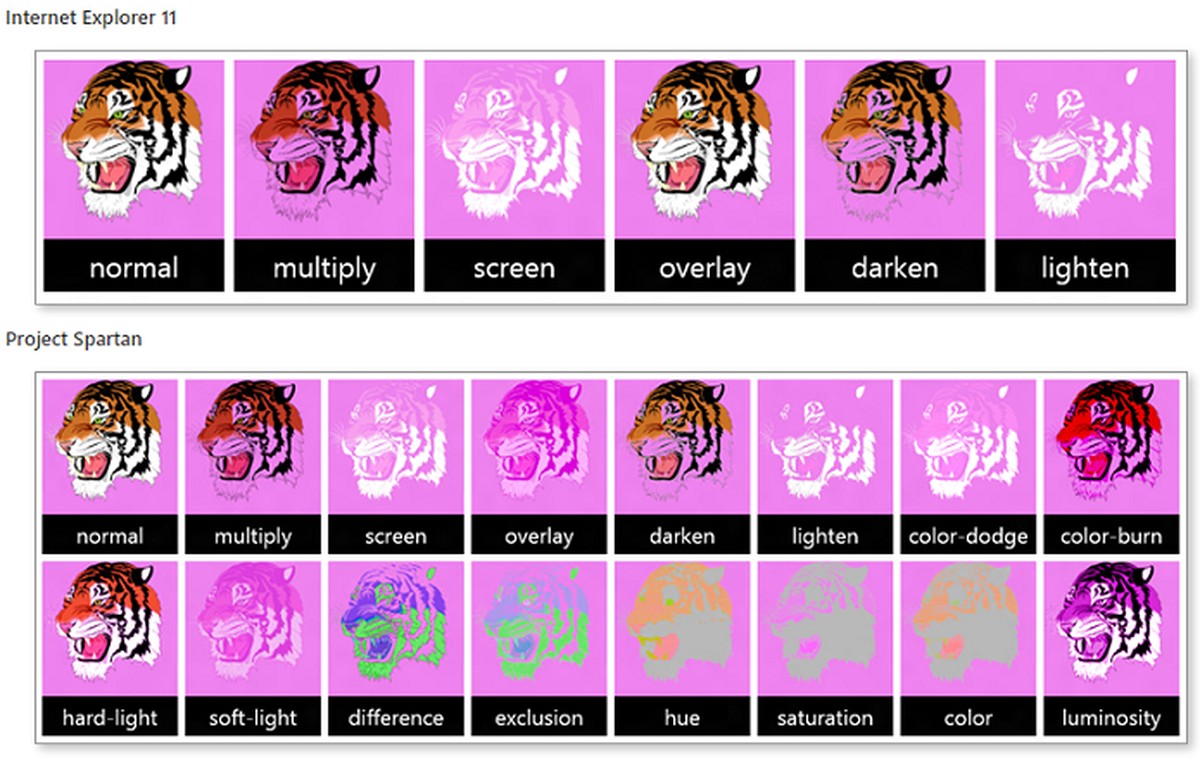 Windows 10: Project Spartan trabalha com Adobe para melhorar layout