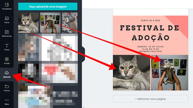 Como fazer panfleto online com o Canva