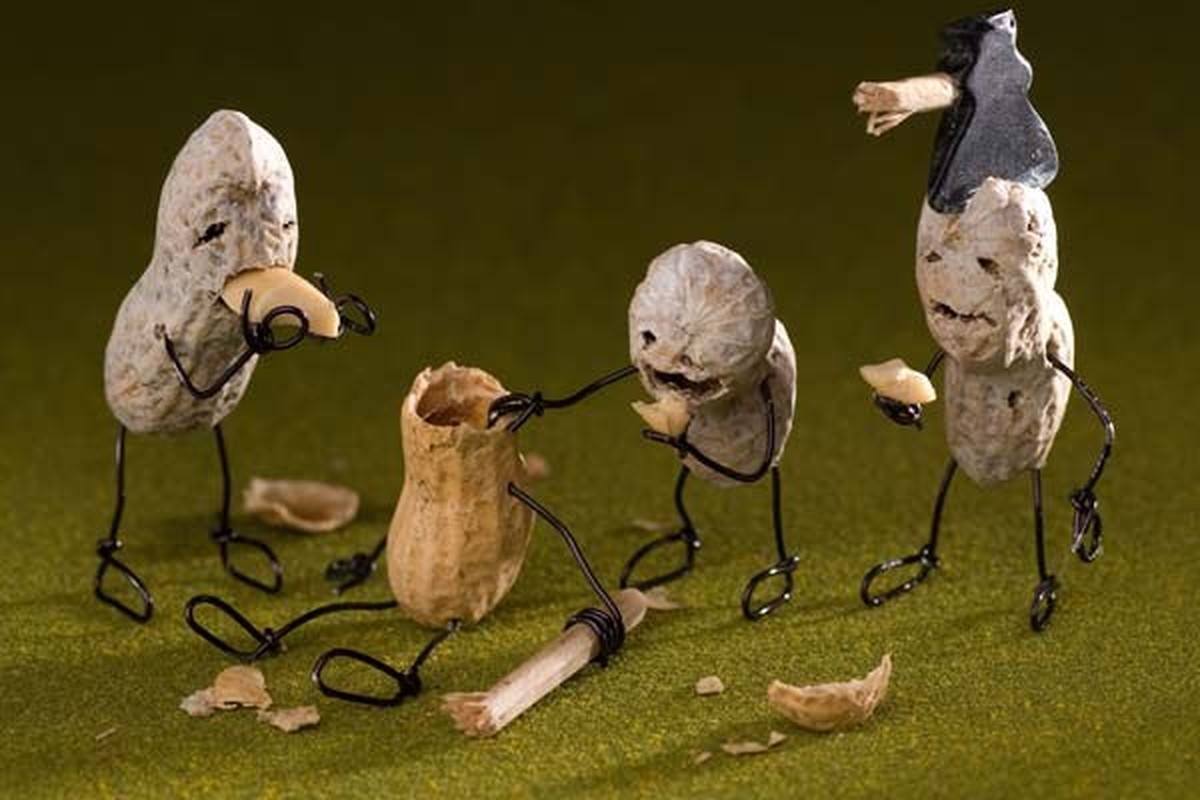 Objetos humanizados protagonizam o projeto do fotógrafo Terry Border