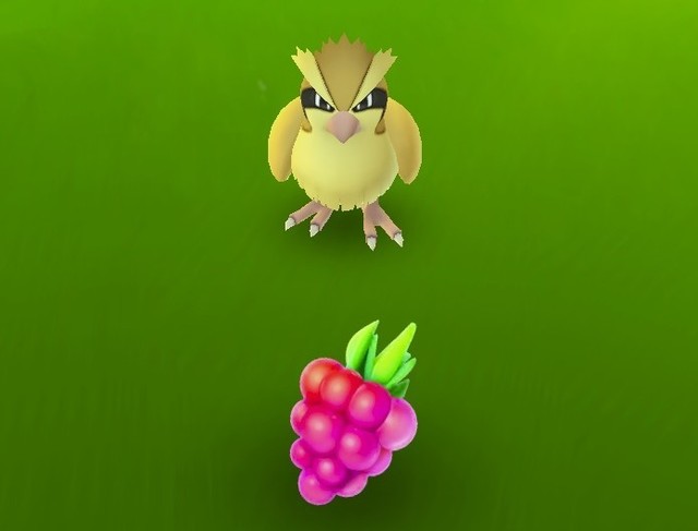 Como usar Razz Berries para capturar Pokémon mais fortes e raros