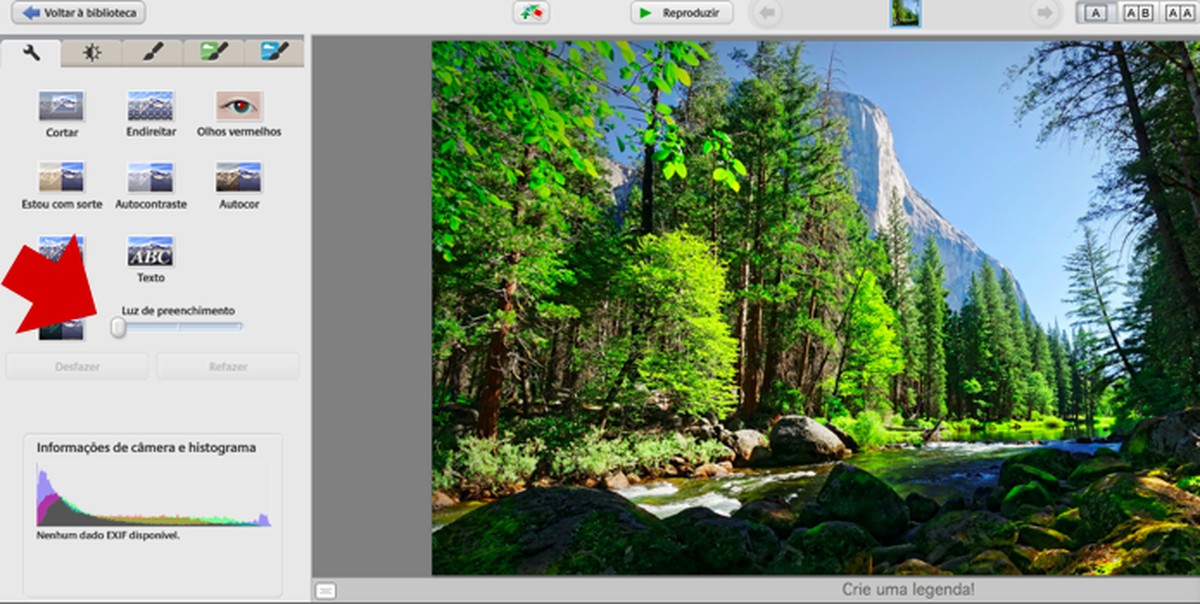 Como usar efeitos no Picasa, editor de imagens do Google