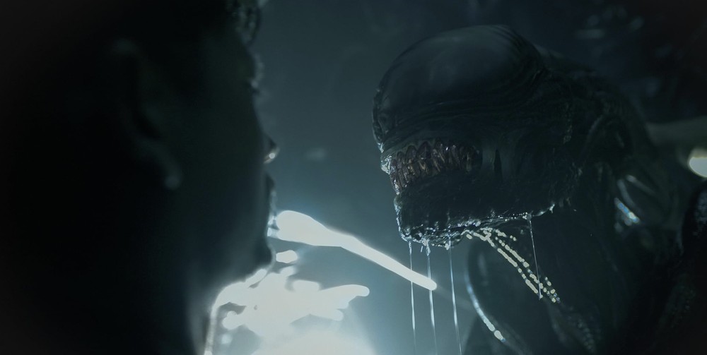 Os 15 melhores filmes de terror de 2024, segundo a crítica