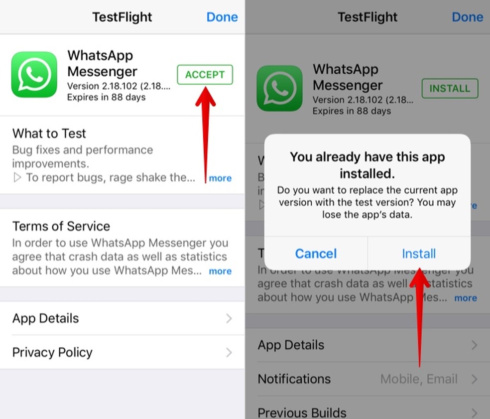 Como Baixar O WhatsApp Beta🆎 Conheça o mistério do jogo do bicho