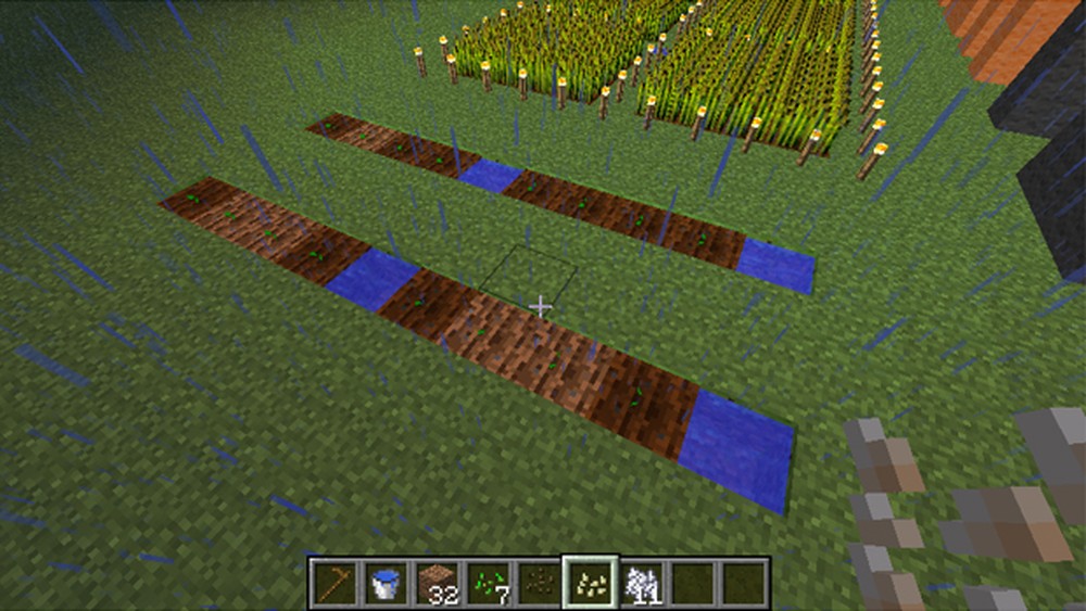 Plantação em Minecraft: saiba como cultivar plantas e fazê-las crescer