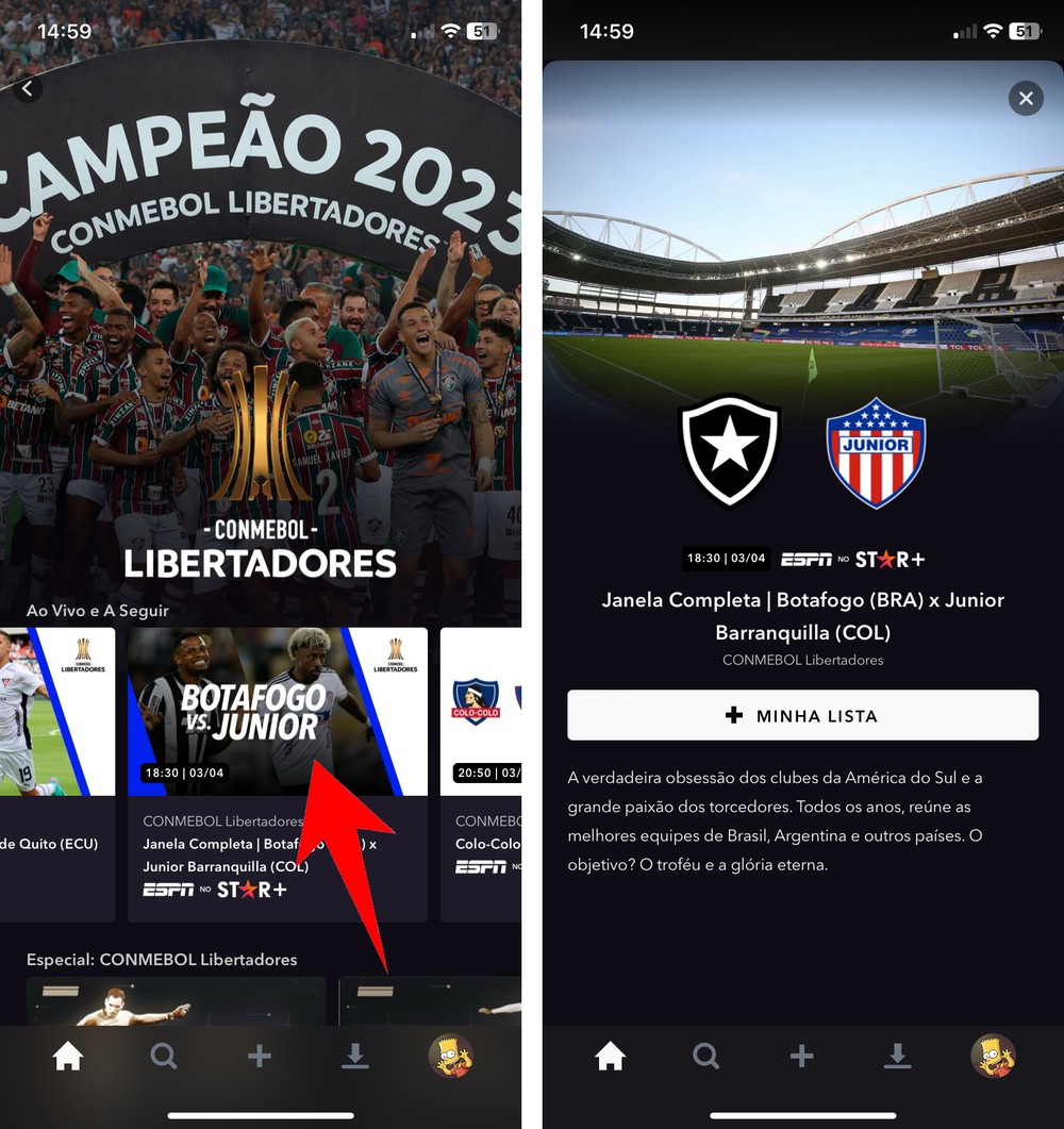 Botafogo x Junior Barranquilla ao vivo: veja horário e como assistir online