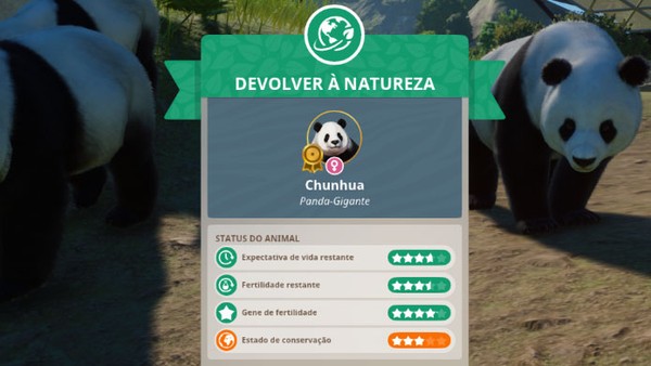Planet Zoo: veja requisitos e como jogar o simulador de zoológico para PC