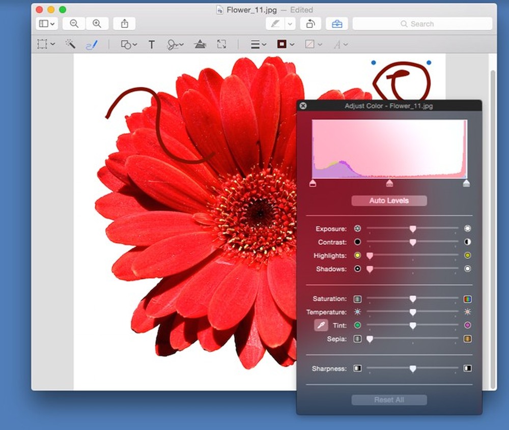 Microsoft Paint: todas as versões do famoso editor de fotos do Windows