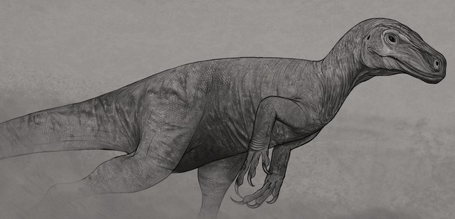 Staurikosaurus: Doodle do Google homenageia dinossauro neste sábado (19)