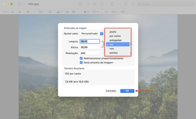 Como redimensionar imagem online, no PC Windows ou macOS e celular