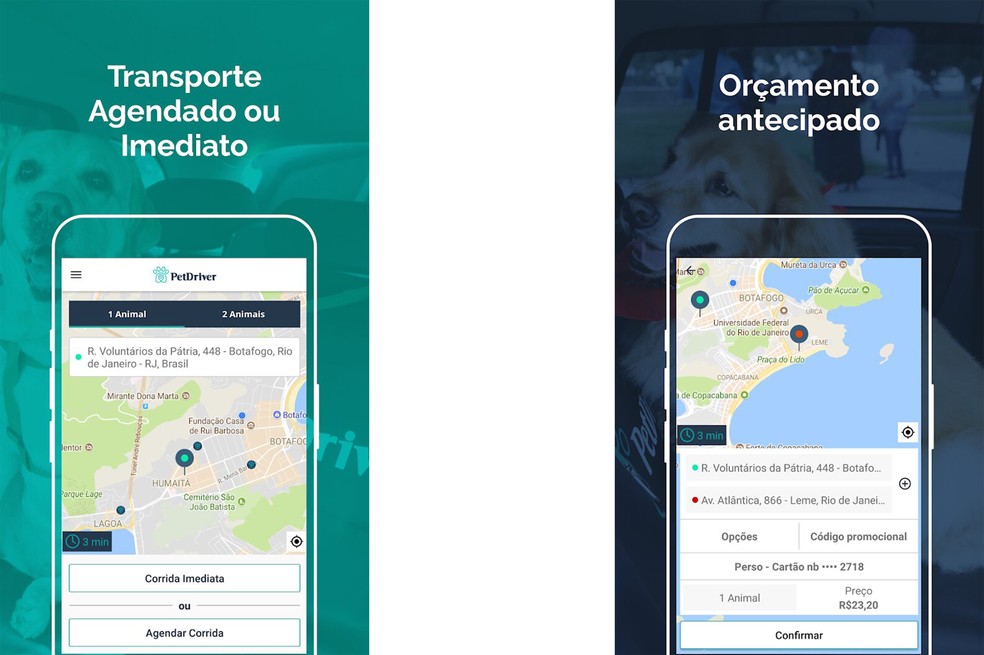 Conheça o PetDriver, app no 'estilo Uber' para animais de estimação