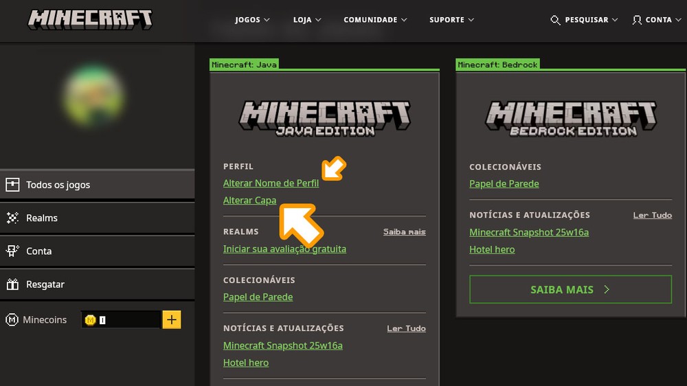 NameMC é site de skins e nomes em Minecraft; conheça e saiba como usar