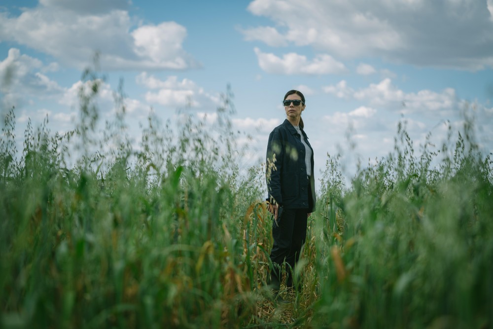 Lançamentos da Max em março: veja estreias de filmes e séries