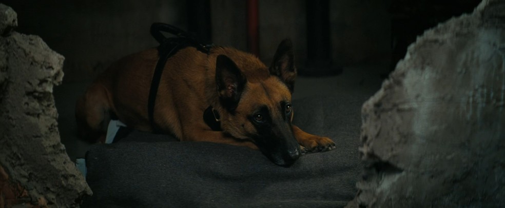 Fallout no Prime Video: conheça os grupos de personagens vindos dos games