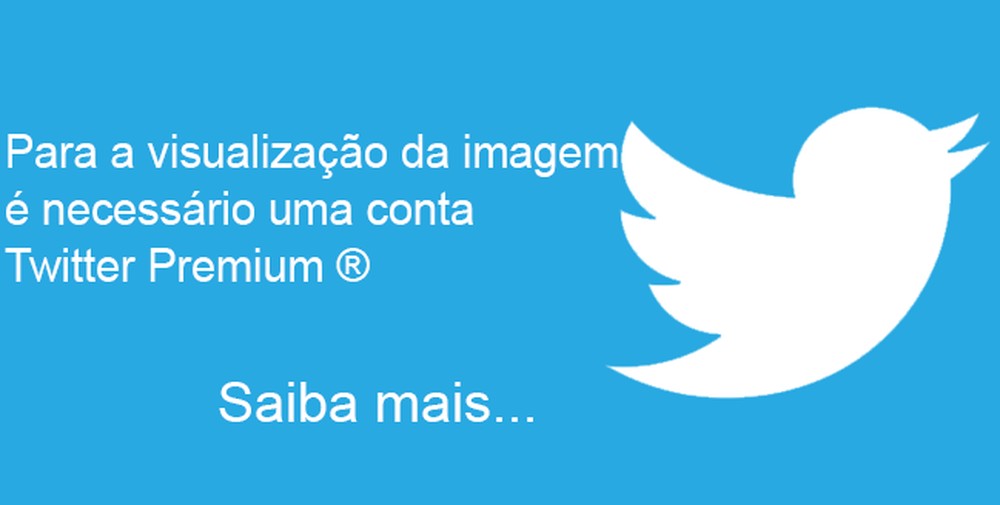 Twitter Premium: mensagem sobre possível versão paga viraliza na rede