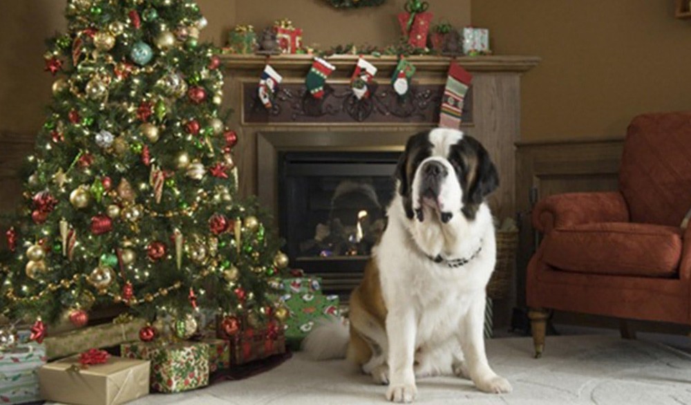 12 filmes de Natal infantis para assistir com as crianças e aproveitar