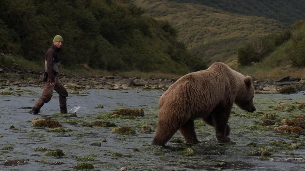 10 filmes de urso que valem a pena assistir hoje mesmo