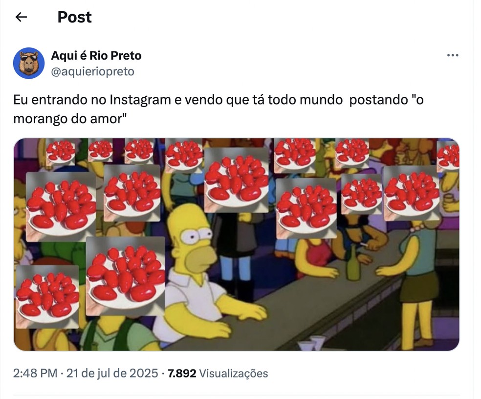 Morango do amor, Labubu e mais: 9 'surtos coletivos' que marcaram nosso ...