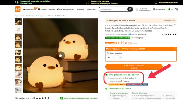 Temu: como rastrear ou devolver pedido feito na loja online