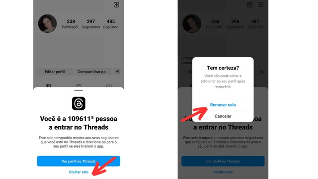 Como tirar o Threads da bio do Instagram? Veja o passo a passo