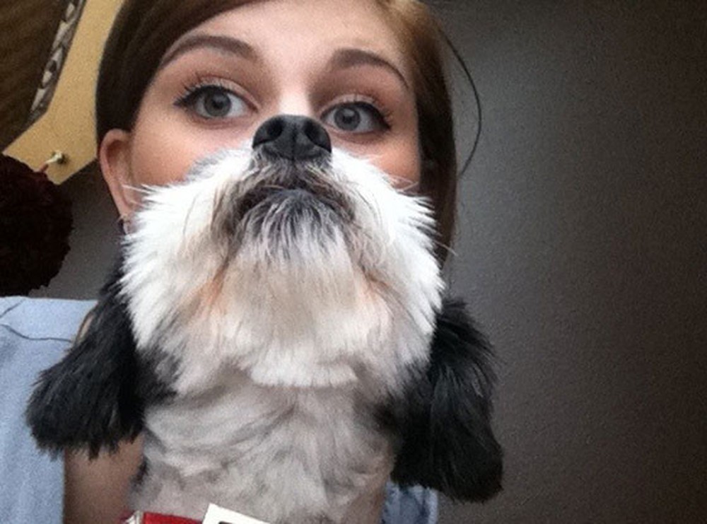 Cat Bearding: nova mania da web faz internautas com ‘barba de gato ...