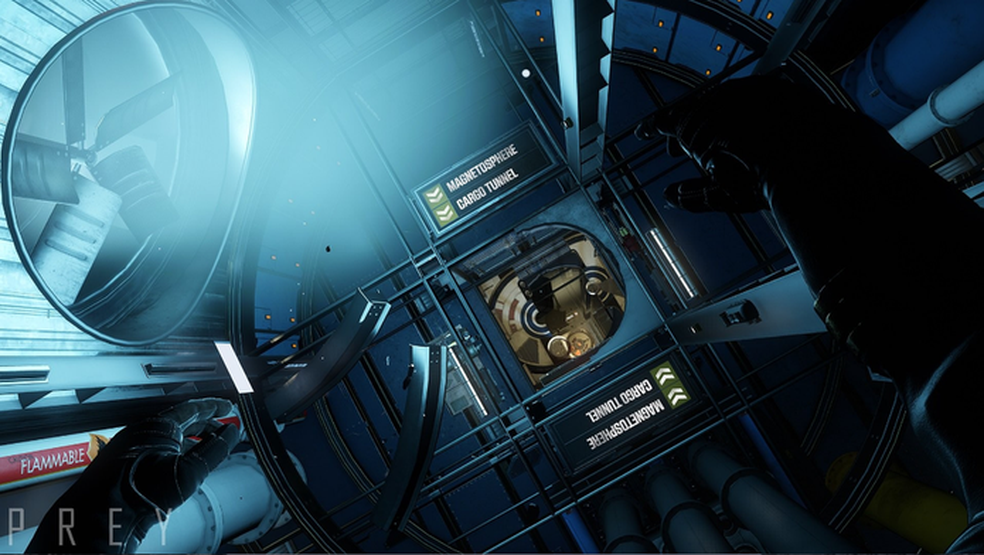 Review Prey