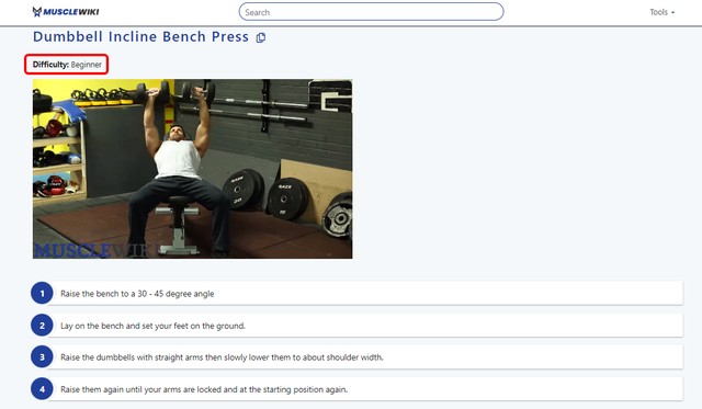 MuscleWiki: como usar site para encontrar exercícios para iniciantes