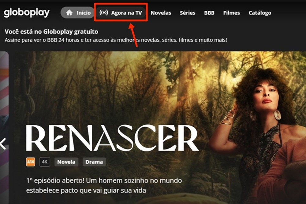 Corinthians x Cruzeiro na final da Copinha 2024: veja horário e onde ...