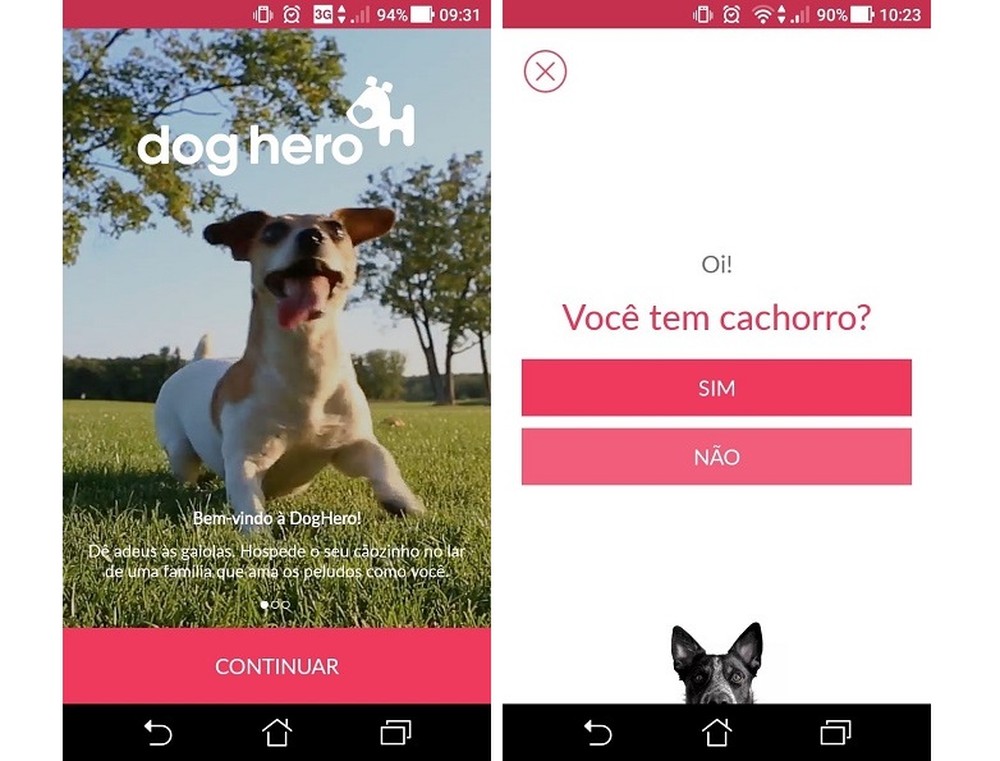 Como funciona o DogHero? Conheça o aplicativo para passear com cachorro