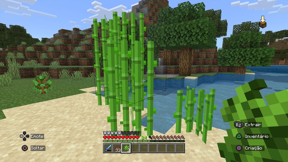 Trepadeira De Papel Minecraft