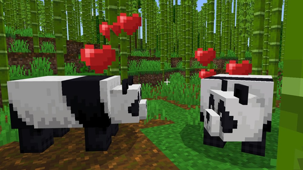 Panda no Minecraft: como domar, reproduzir, o que come e mais